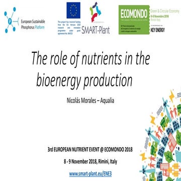 ENE3 - The role of nutrients in the bioenergy production - Nicolas ...