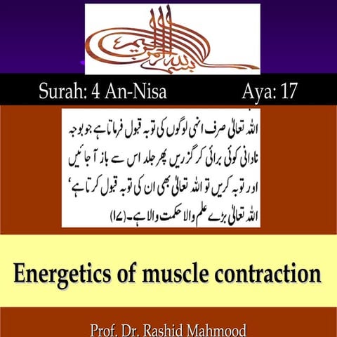Energetics of muscle contraction | PPT