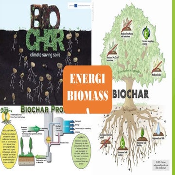 Energi biomassa | ODP