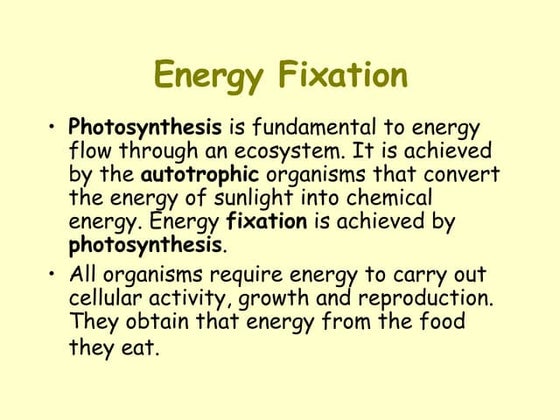Energy pyramid lesson | PPT