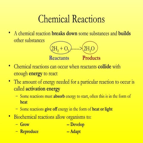 Energy And Enzymes Notes New | PPT