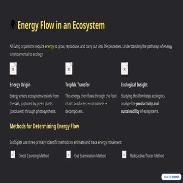 Energy-Flow-in-an-Ecosystem for shs.pptx