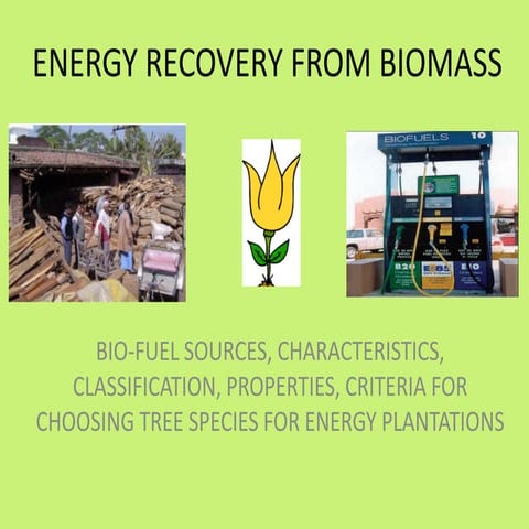 Energy from-biomass | PDF