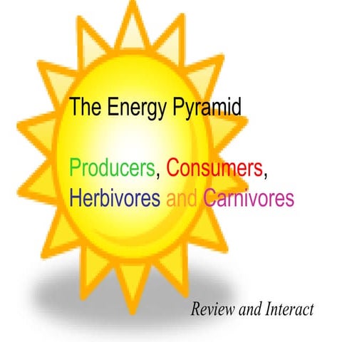 Energy Pyramid | PPT