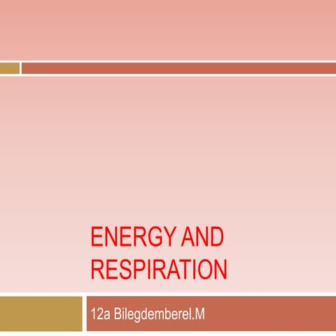 Energy and respiration | PPTX