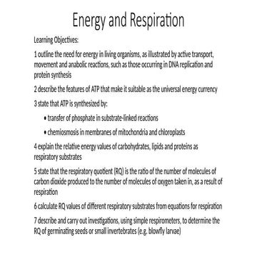 Sem-V Unit-III Protein Synthesis TRANSCRITION AND TRANSLATION.pptx