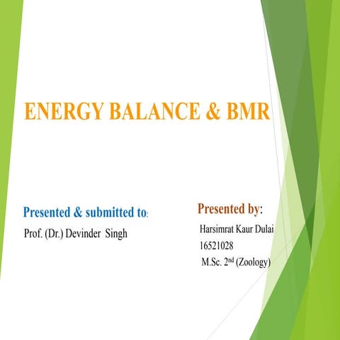 Energy balance | PPTX