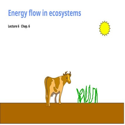 ENERGY FLOW MODELS.pdf
