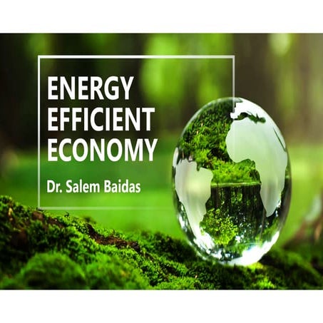 Energy Efficient Economy | PDF