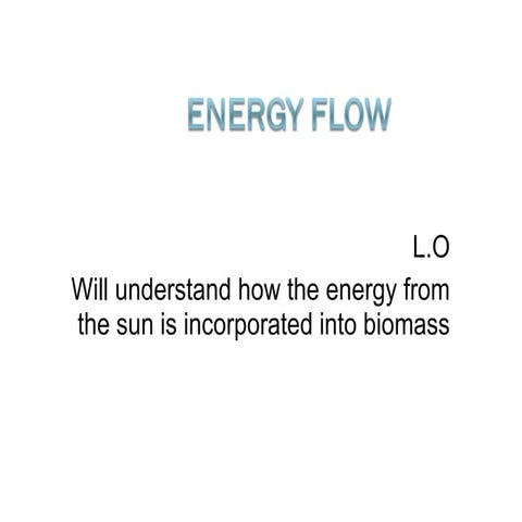 Energy Flow | PPT | Environment | Science