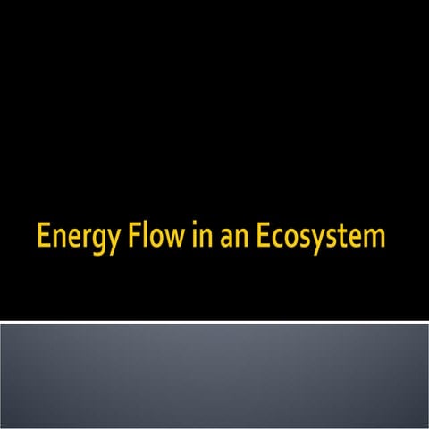 Energy flow | PPT