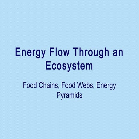 Energy flow in ecosystems | PPTX