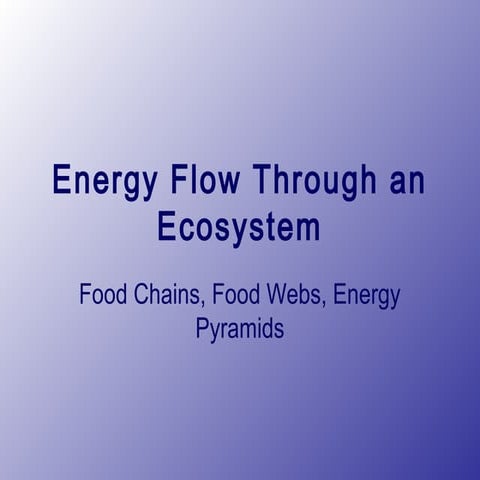 Energy flow | PPT
