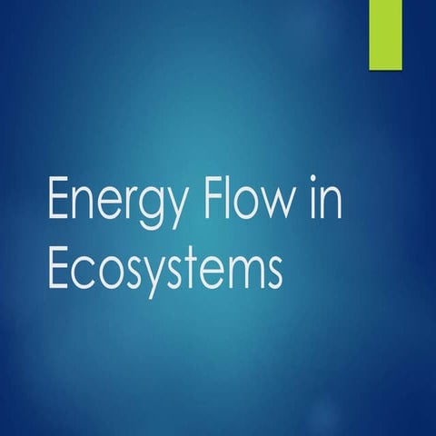 Ecosystems and Energy | PPTX
