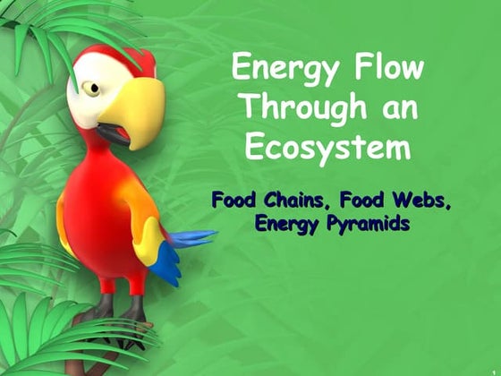 Ecosystems 2 Energy Flows | PPT