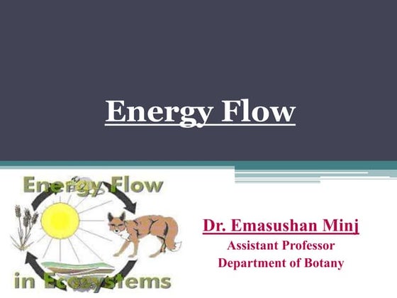 ENERGY FLOW MODELS.pdf