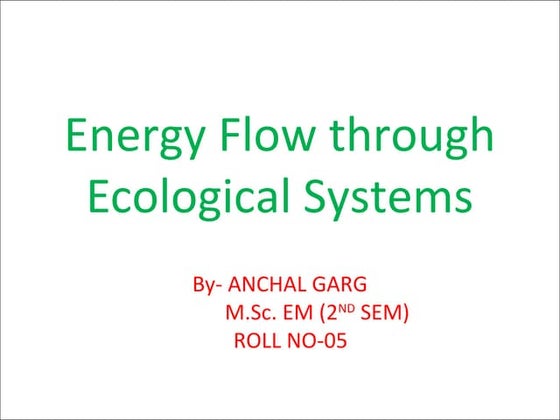 ENERGY FLOW MODELS.pdf