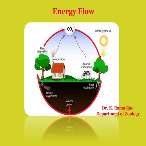 Energy flow | PPT