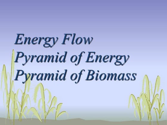 Energy pyramid lesson | PPT
