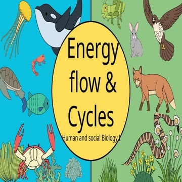 Energy flow and cycles.pptxxxxxxxxxxxxxxxxxx | PPTX