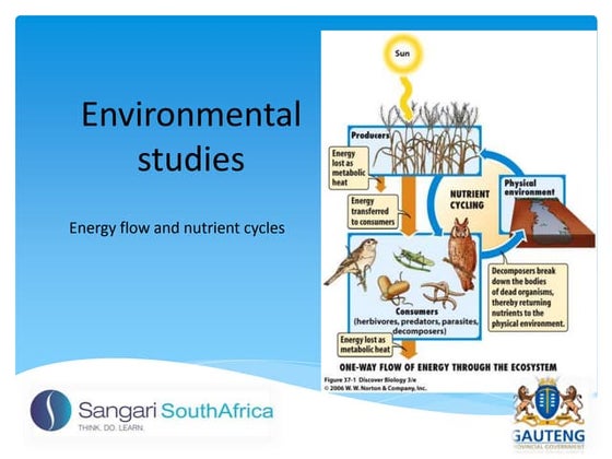 BIOLOGY SBA (LAB) | PDF