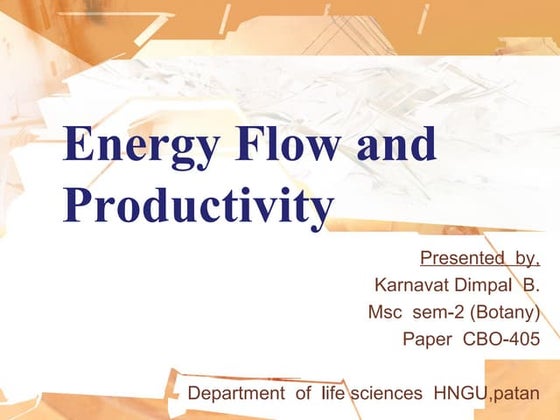 ENERGY FLOW MODELS.pdf