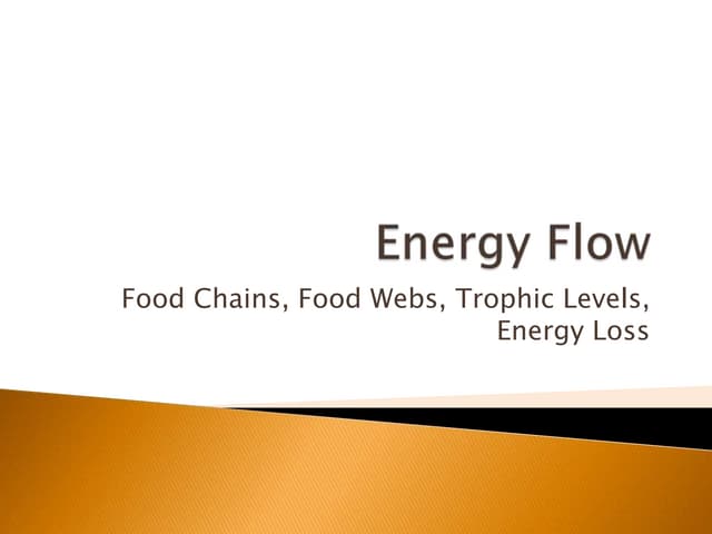 ENERGY FLOW MODELS.pdf