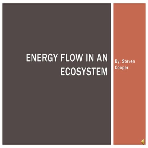 Energy flow in an ecosystem | PPTX | Science