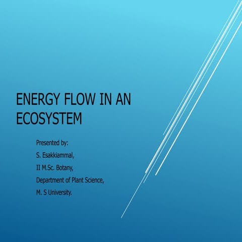 Energy flow in ecosystem | PPTX