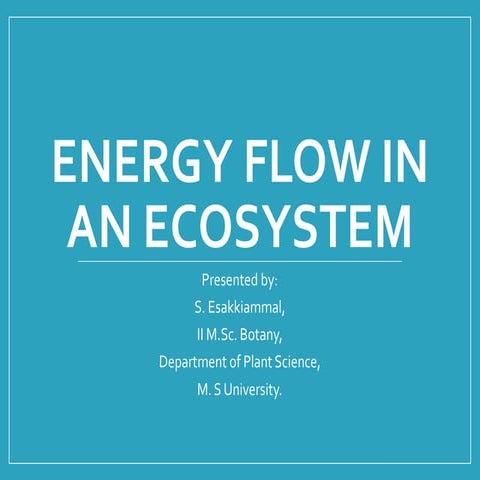 Energy flow in ecosystem | PPTX