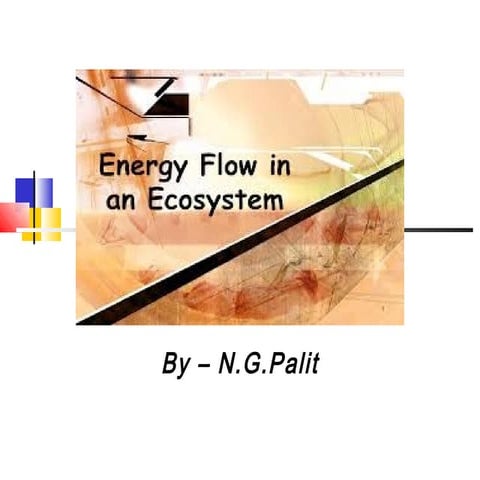 Energy flow in ecosystem | PPT