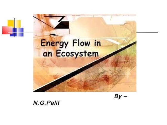 Energy flow in ecosystem | PPTX