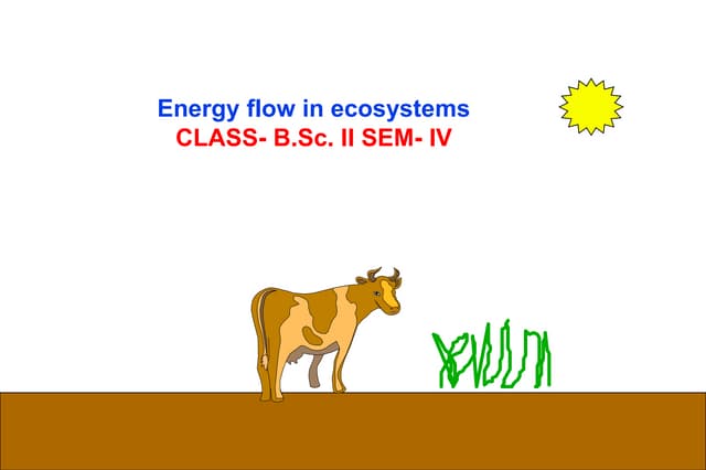 ENERGY FLOW MODELS.pdf