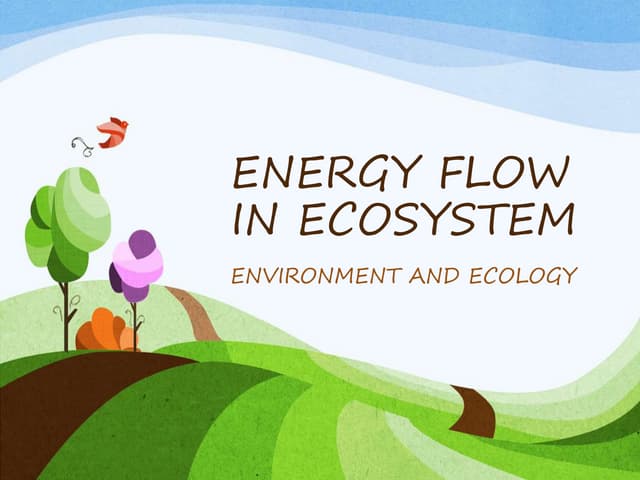 Energy flow in ecosystem | PPTX