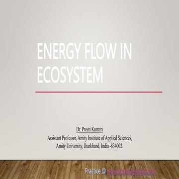 Energy flow in ecosystem.pptx