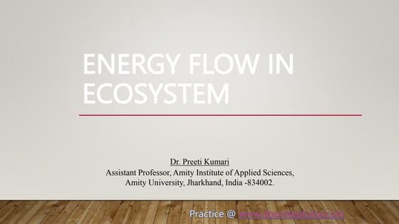 ENERGY FLOW MODELS.pdf