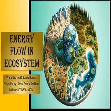 Energy flow in ecosystem.importance , laws of thermodynamics in ...