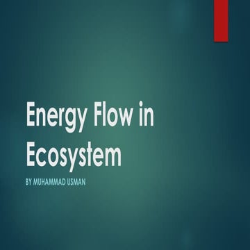 Ecological Energy Flow in Ecosystem.pptx