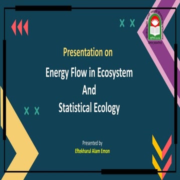 Energy Flow in Ecosystem and Statistical Ecology Presentation.pdf
