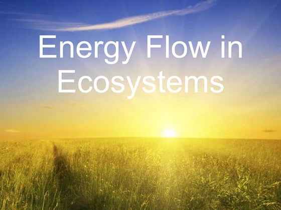 Energy flow in ecosystem | PPT | Environment | Science