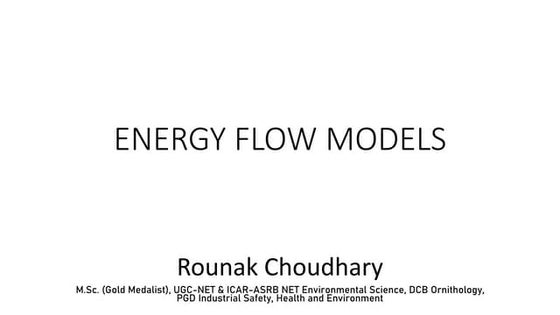 ENERGY FLOW MODELS.pdf