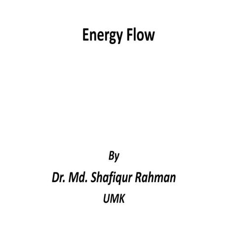 Energy flows | PPTX