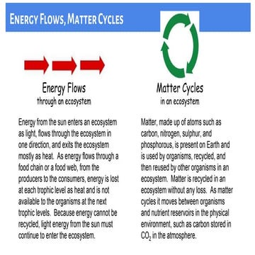 Energy Flows, Matter Cycles.pptx
