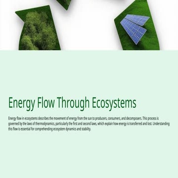 Energy Flow Through Ecosystems.pptx_2025 | PPTX