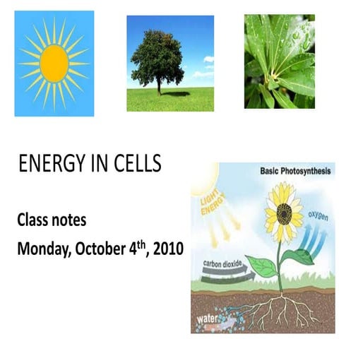 Energy in cells | PPT