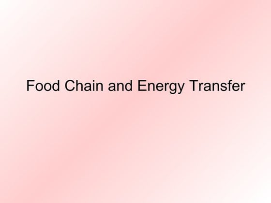 Energy pyramid lesson | PPT