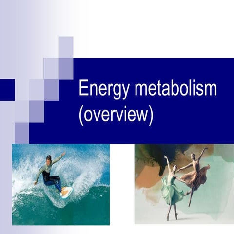 Energy Metabolism | PPT