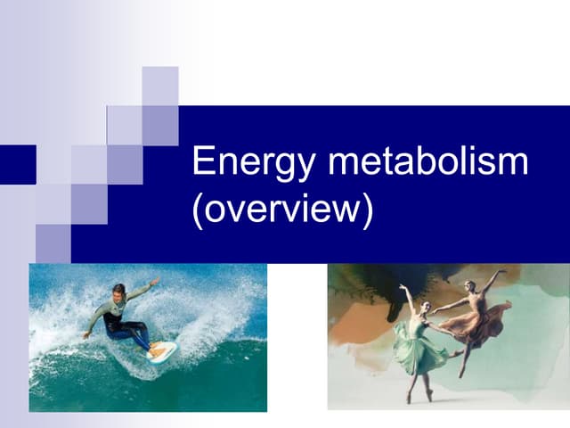 Metabolism- Biochemistry | PPT