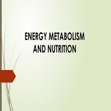 ENERGY METABOLISM AND NUTRITION Biochemistry.pptx