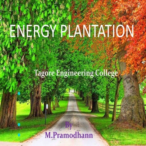 Energy plantation | PPTX